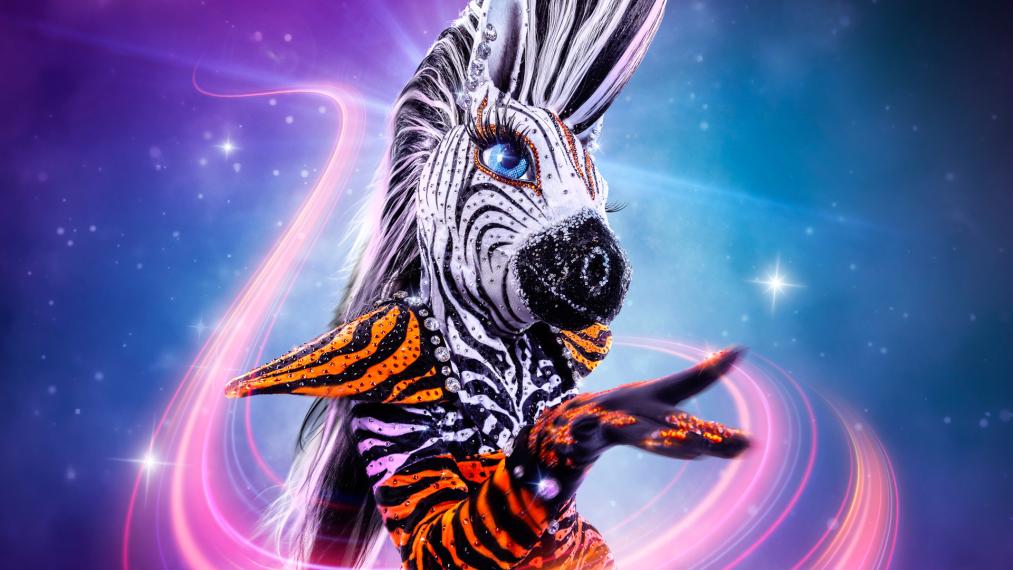 Wie is de dierenvriend in Zebra bij ‘The Masked Singer’? | Showbizzsite